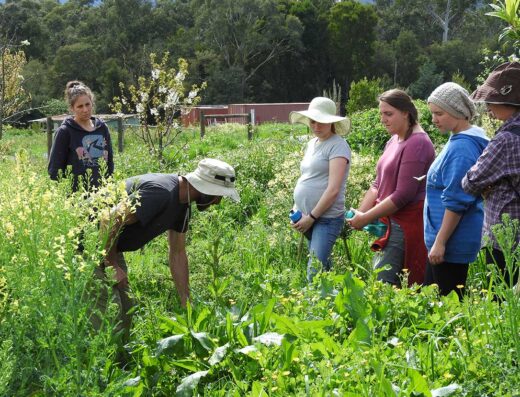 Home › Permaculture Week + International Permaculture Day